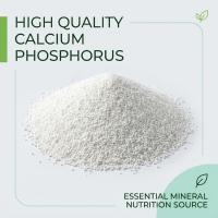 China Feed Additive DCP Phosphate Calcium Di Hydrogen Phosphate Powder for sale