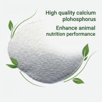 China 90% DCP Dicalcium Phosphate 10-60 Mesh DCP Animal Feed Granular for sale