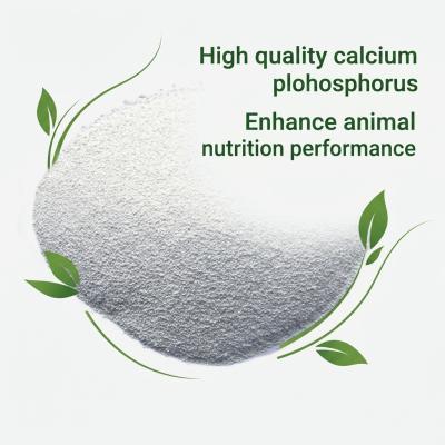 China 90% DCP Dicalcium Phosphate 10-60 Mesh DCP Animal Feed Granular for sale