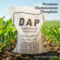 China 98.0% Cas 7783-28-0 Ammonium Phosphate DAP NH42HPO4 White Powder for sale