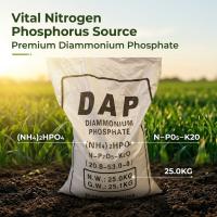 China (NH4)2HPO4 98.0% Min DAP Phosphate Diammonium Crystal Powder for sale