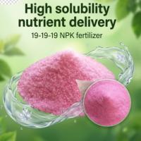 China Customizable 5kg/Bag Water Soluble Fertilizer NPK19-19-19 TE For All Crops for sale