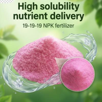 China Customizable 5kg/Bag Water Soluble Fertilizer NPK19-19-19 TE For All Crops for sale