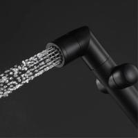 China ABS Plastic Matte Black Bidet Toilet Sprayer Set with 2 Functions and Adjustable for sale