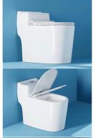 China Porcelain Ceramic Wall Hung Toilet White Europe Style Bathroom with Buffer Cover Plate for sale