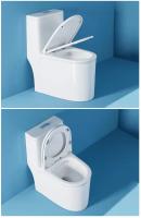 China Porcelain Ceramic Wall Hung Toilet White Europe Style Bathroom with Buffer Cover Plate for sale