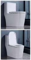 China Porcelain Ceramic Wall Hung Toilet White Europe Style Bathroom with Buffer Cover Plate for sale