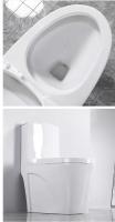 China Porcelain Ceramic Wall Hung Toilet White Europe Style Bathroom with Buffer Cover Plate for sale