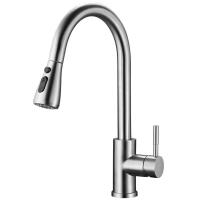 China Modern Kitchen Faucet with Pull Out Sprayer and Water Supply Hose 304 Stainless Steel for sale