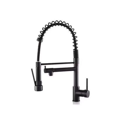 China Kithcen Sink Faucet with Pull Down Sprayer 2024Lizhen Hua-Vic Modern Single Handle for sale