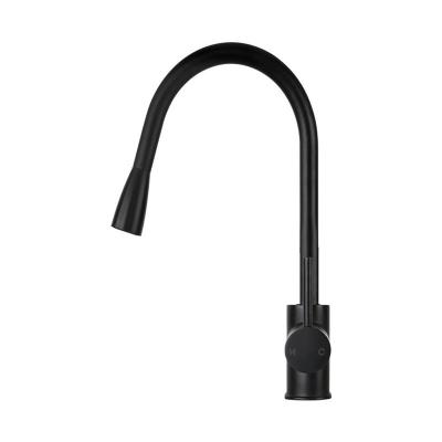 China Brass Body Kitchen Mixer Tap with 2 Modes Hot/Cold Water Options and Pull Out Function for sale