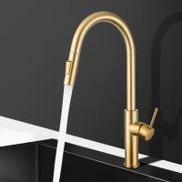 China Modern Brass Kitchen Tap with Pull Out Sprayer and 360 Degree Swivel in Brushed Gold for sale