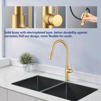 China Modern Brass Kitchen Tap with Pull Out Sprayer and 360 Degree Swivel in Brushed Gold for sale