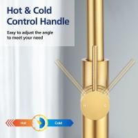 China Modern Brass Kitchen Tap with Pull Out Sprayer and 360 Degree Swivel in Brushed Gold for sale