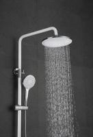 China 2024 European Light Luxury Bathroom Shower Set with Stainless Steel Surface Finishing for sale