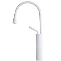 China Single Hole Lizhen Hwa.Con Light luxury Hot and Cold Water Faucet for Kitchen Bathroom for sale