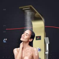 China Thermostatic Nozzle Gun Shower Set for Household Water Heater Polished SUS304201 Panel for sale