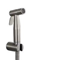 China Easy Toilet Maintenance Lizhen 2024 Brushed Spray Shower Set with Modern Design Style for sale