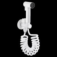 China 2024 Lizhen Shattaf Bidet Sprayer Glossy Finish for Keeping Body Clean in Toilet for sale