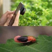 China Multi Layer Coating Phone Camera Lens Anti Scratch Phone Macro Lens For Closer Focus Distance for sale