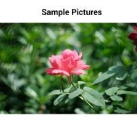 China Adjustable Swirly Bokeh Filter 49mm - 82mm Optical Filters With Aluminum Alloy Frame for sale