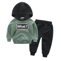 China Children'S Outfit Sets Children'S Cotton Two Piece Hoodie Suits Boys Sports Suits for sale
