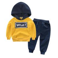 China Children'S Outfit Sets Children'S Cotton Two Piece Hoodie Suits Boys Sports Suits for sale