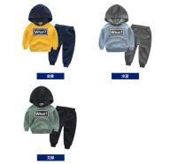 China Children'S Outfit Sets Children'S Cotton Two Piece Hoodie Suits Boys Sports Suits for sale
