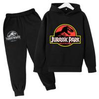 China Children'S Outfit Sets Movie Anime Hoodie Boys And Girls Dinosaur Print Hoodie Set for sale