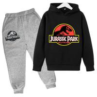 China Children'S Outfit Sets Movie Anime Hoodie Boys And Girls Dinosaur Print Hoodie Set for sale