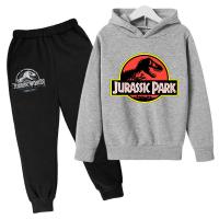 China Children'S Outfit Sets Movie Anime Hoodie Boys And Girls Dinosaur Print Hoodie Set for sale