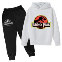 China Children'S Outfit Sets Movie Anime Hoodie Boys And Girls Dinosaur Print Hoodie Set for sale