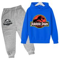 China Children'S Outfit Sets Movie Anime Hoodie Boys And Girls Dinosaur Print Hoodie Set for sale