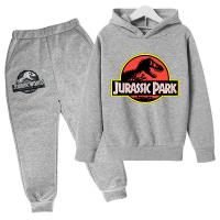 China Children'S Outfit Sets Movie Anime Hoodie Boys And Girls Dinosaur Print Hoodie Set for sale