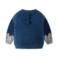 China Children'S Sports Shirts Children'S Fleece Sweater Boys Color Matching Top for sale