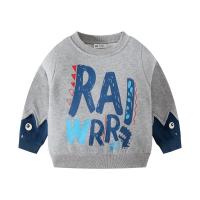 China Children'S Sports Shirts Children'S Fleece Sweater Boys Color Matching Top for sale