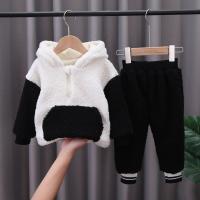 China Autumn Winter Children'S Outfit Sets Lamb Cashmere Panda Hooded 2 Piece White Pantsuit for sale