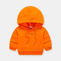 China Boys Hoodie Children's Sports Shirts Boys Casual Long Sleeves Hoodie All Match for sale
