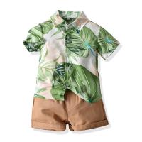 China Short Sleeved Children's Outfit Sets Summer Shorts Cotton Kids Clothing for sale