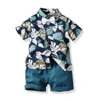 China Short Sleeved Children's Outfit Sets Summer Shorts Cotton Kids Clothing for sale