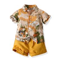 China Short Sleeved Children's Outfit Sets Summer Shorts Cotton Kids Clothing for sale