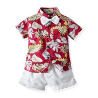 China Short Sleeved Children's Outfit Sets Summer Shorts Cotton Kids Clothing for sale