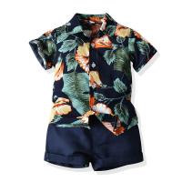 China Short Sleeved Children's Outfit Sets Summer Shorts Cotton Kids Clothing for sale