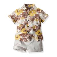 China Short Sleeved Children's Outfit Sets Summer Shorts Cotton Kids Clothing for sale