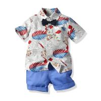China Short Sleeved Children's Outfit Sets Summer Shorts Cotton Kids Clothing for sale