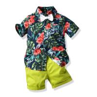 China Short Sleeved Children's Outfit Sets Summer Shorts Cotton Kids Clothing for sale