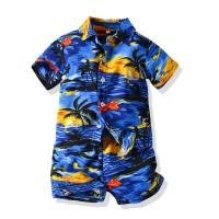 China Short Sleeved Children's Outfit Sets Summer Shorts Cotton Kids Clothing for sale