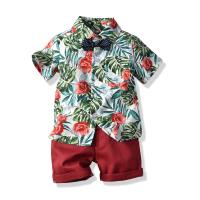 China Short Sleeved Children's Outfit Sets Summer Shorts Cotton Kids Clothing for sale