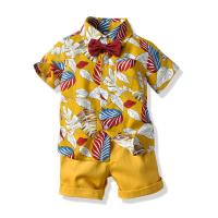 China Short Sleeved Children's Outfit Sets Summer Shorts Cotton Kids Clothing for sale