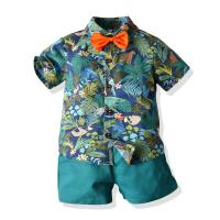 China Short Sleeved Children's Outfit Sets Summer Shorts Cotton Kids Clothing for sale